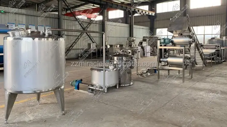 Efficient Mango Pulp Machine - Miracle Fruit Processing