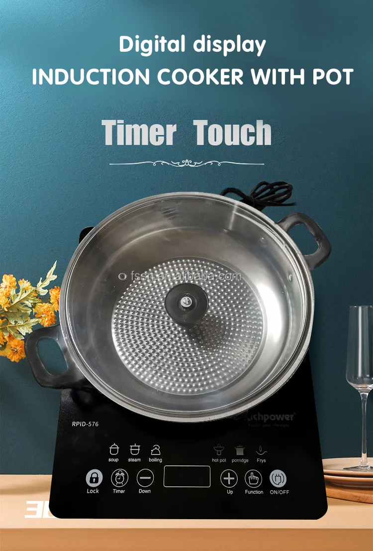 1500W Induction Cooker with Digital Touch Control & Soup Pot