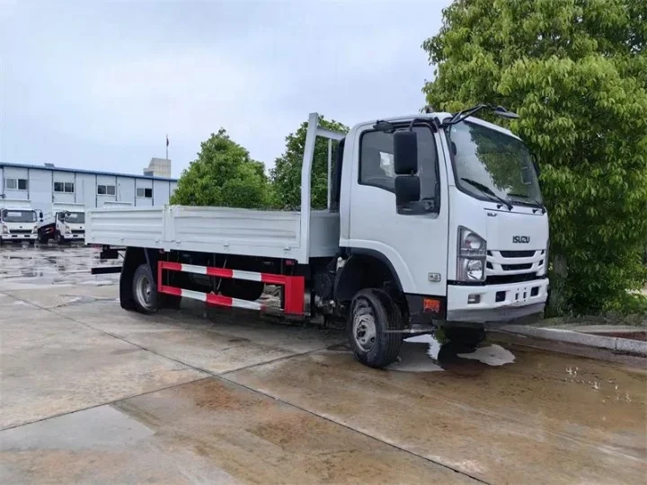 Isuzu Elf 4wheelers Single Cab Cargo Truck - 2ton Capacity