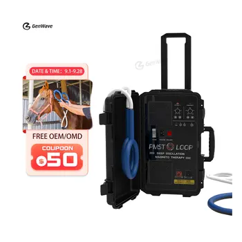 Portable Pemf Magnetic Therapy Device Pmst Loop Horse Magnetic Therapy ...