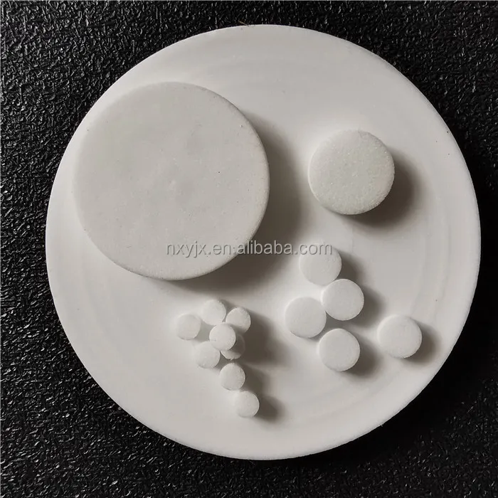 High Quality PP and PE Plastic Sintered Filter Disk