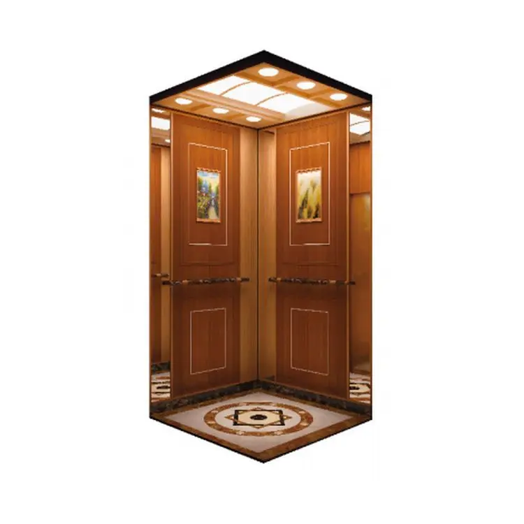 Msds Luxury Villa Elevator 3-floor 400kg Load Capacity Automatic Passenger Elevator - Buy 12 ...