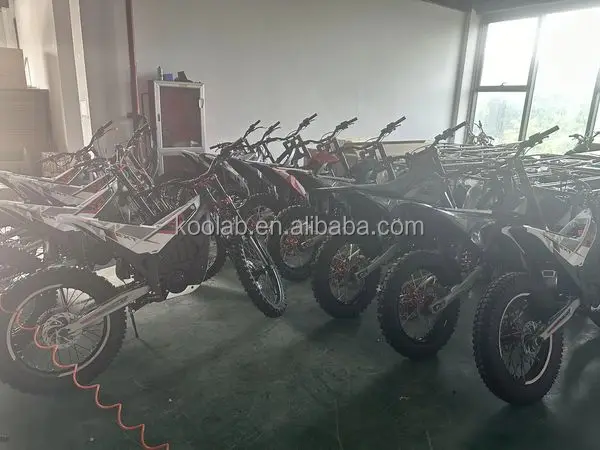 Arctic Leopard Snow Leopard EX800 25KW Electric Dirt Bike - 100KM/H ...