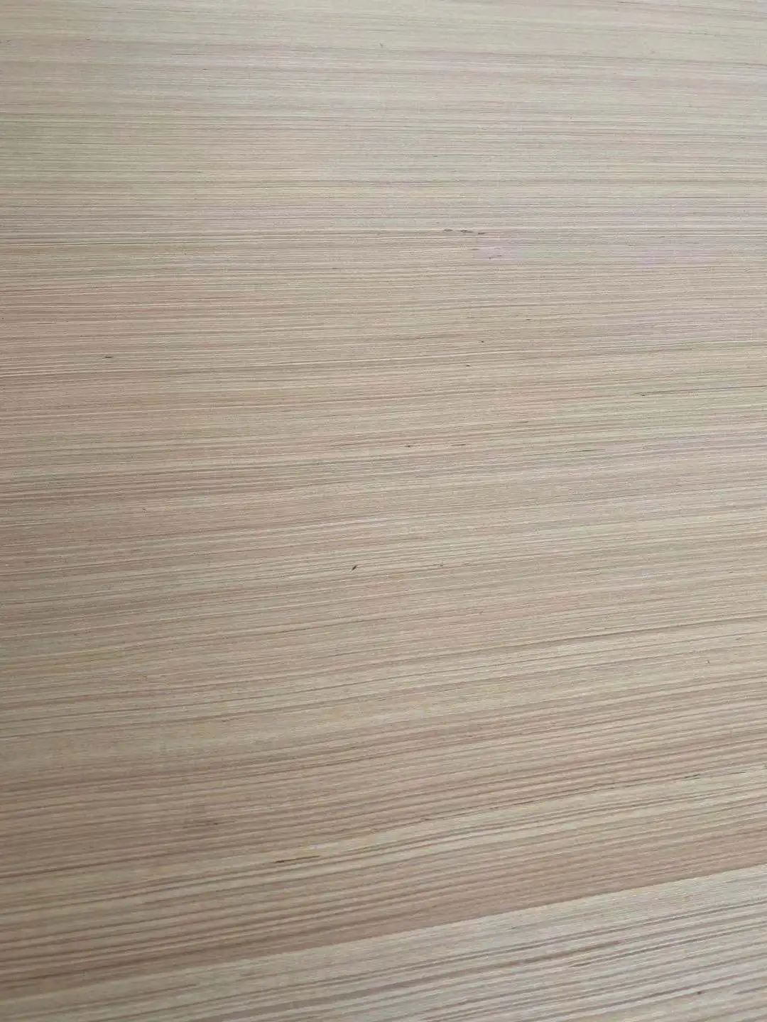 Triplay Lupuna Blanco EV White Plywood for Peru Market