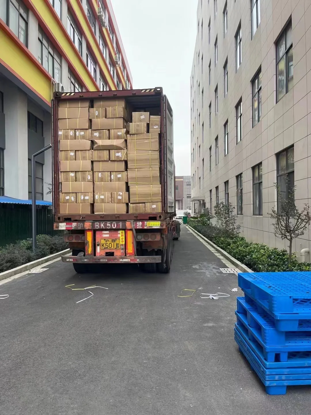 Mario Ebike 250W Mid Drive Motor - City Bike Performance