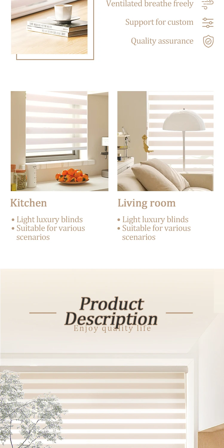 Blackout Roller Shutter Smart Blind Motorized Manual Window Shade ...