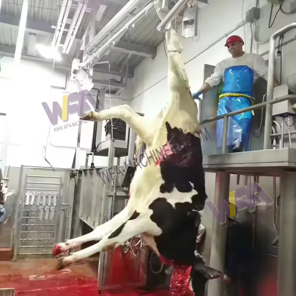 Alibaba.com: Customize Small Halal 30 Cattle Abattoir Machine Cow ...