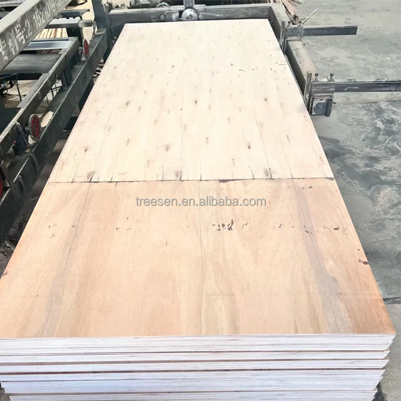 F22 Structural Brace Bracing Ply 4mm Eucalyptus Plywood for Building ...