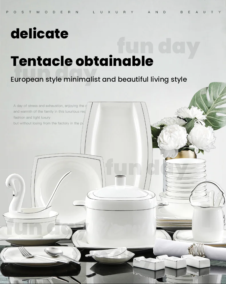 Nordic Modern Bone China Dinnerware Set - White Body Silver Rim Plates ...