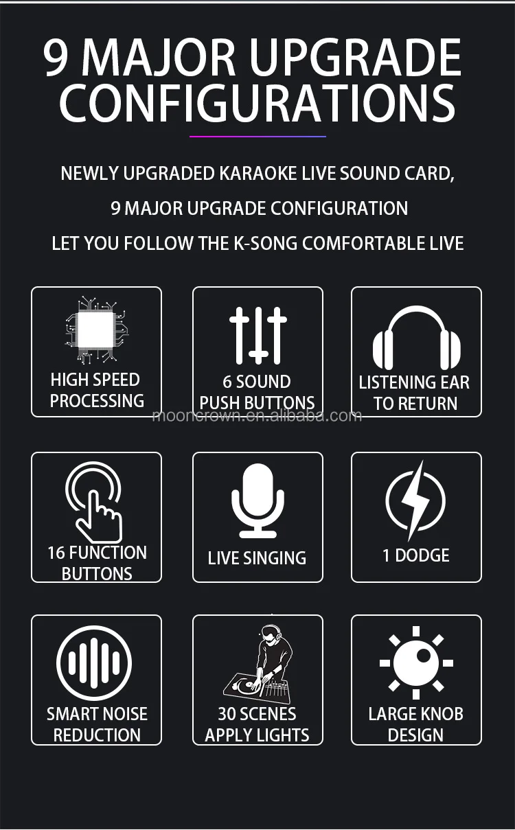 V8S Sound Card Bm800 Microphone Set for Pro Audio Recording