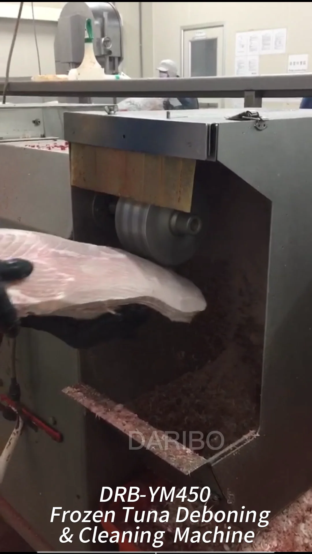 Low-temperature Tuna Steak Grinder Tuna Grinder Bone Peeler Frozen Fish ...