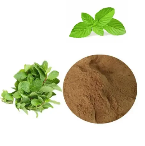 Nature Peppermint Leaf Extract/mentha Piperita Extract Powder Mint ...