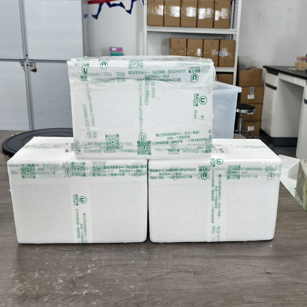 Cleaved-Integrin aV HC (K889) Polyclonal Antibody| Alibaba.com