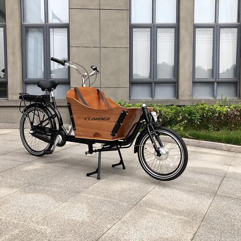 C-ub9015e Nexus 3 Speeds Electric Two Wheel Cargo Bike Bicycle With ...