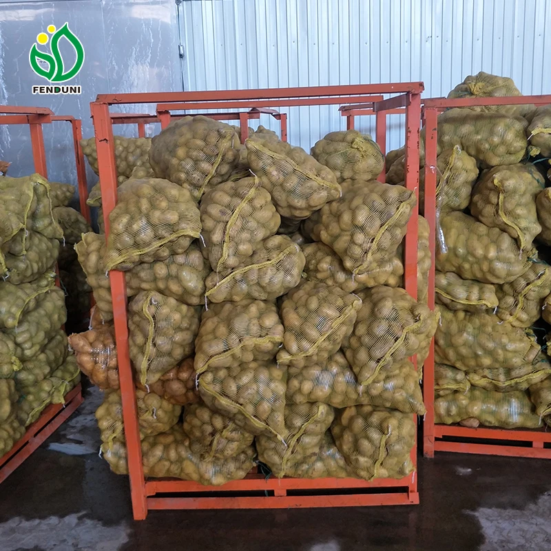 New Crop Fresh Organic Vegetables Wholesale Potato Price Of Potato In ...