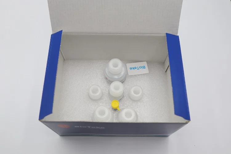 Magnetic Bead Method Nucleic Acid 96 Extraction Kits Rna Isolation Dna