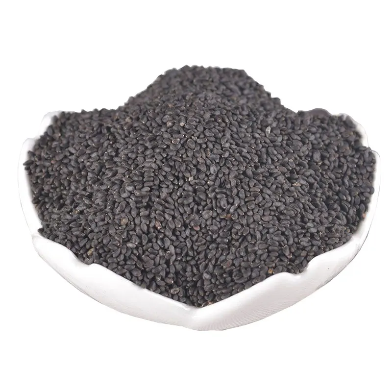 Tukh Malanga Basil Seed / High Quality And Competitive Price From China ...