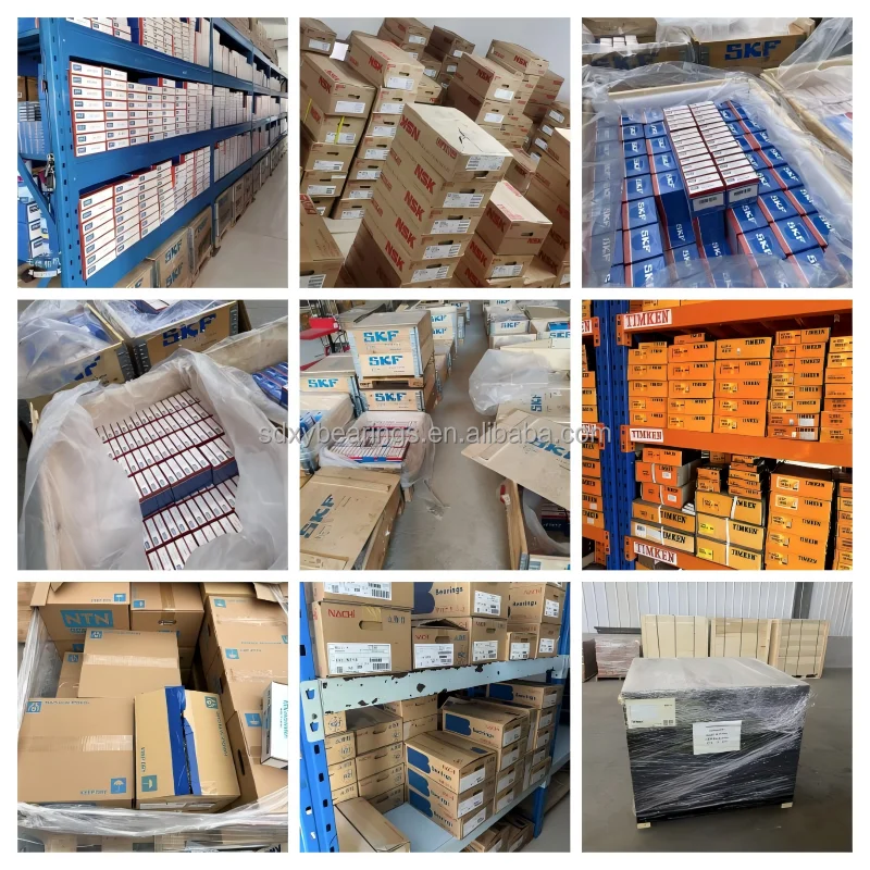 OEM PVC Conveyor Roller Pipe End Cap with 6005 6301 6302 6204 RS Deep ...