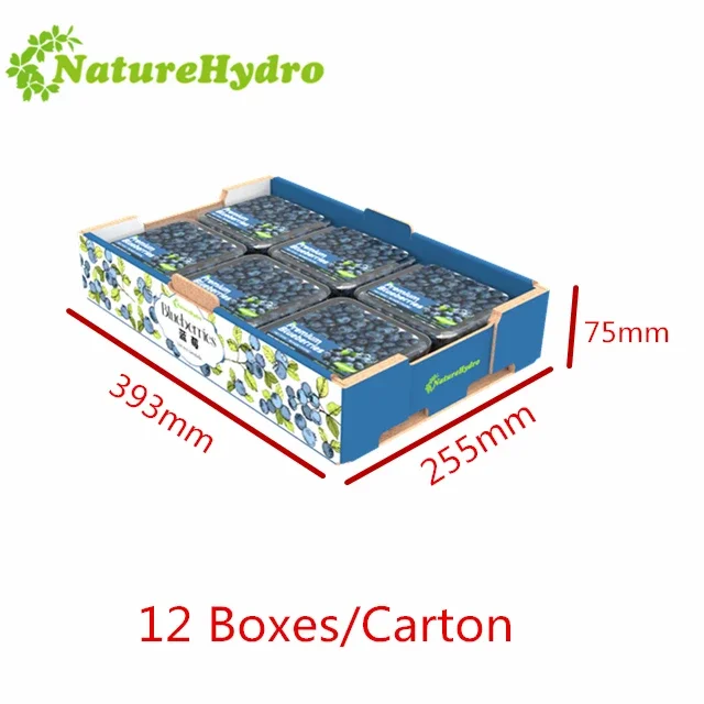 Sweet Fresh Fruit Shipping Carton Vented Clamshell Blueberry Packaging ...