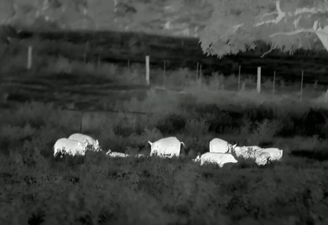 Trv 3-9x Thermal Monocular For Hunting Infrared Thermal Camera For ...