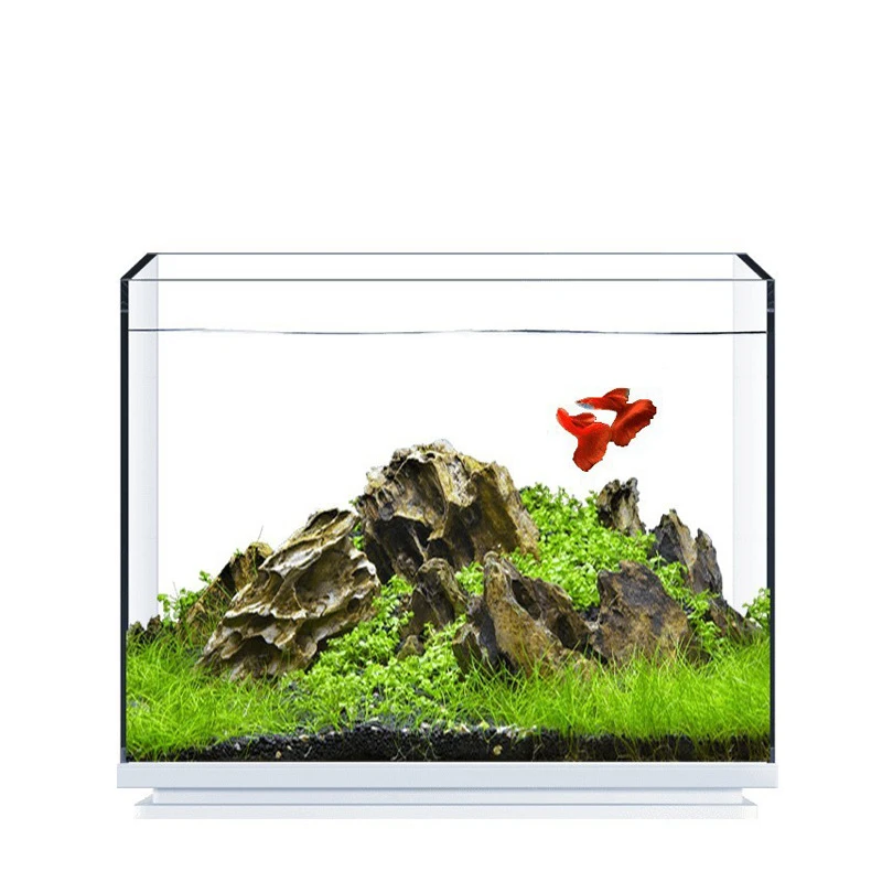30 Litre Fish Tank - Perfect for Home & Office Landscaping
