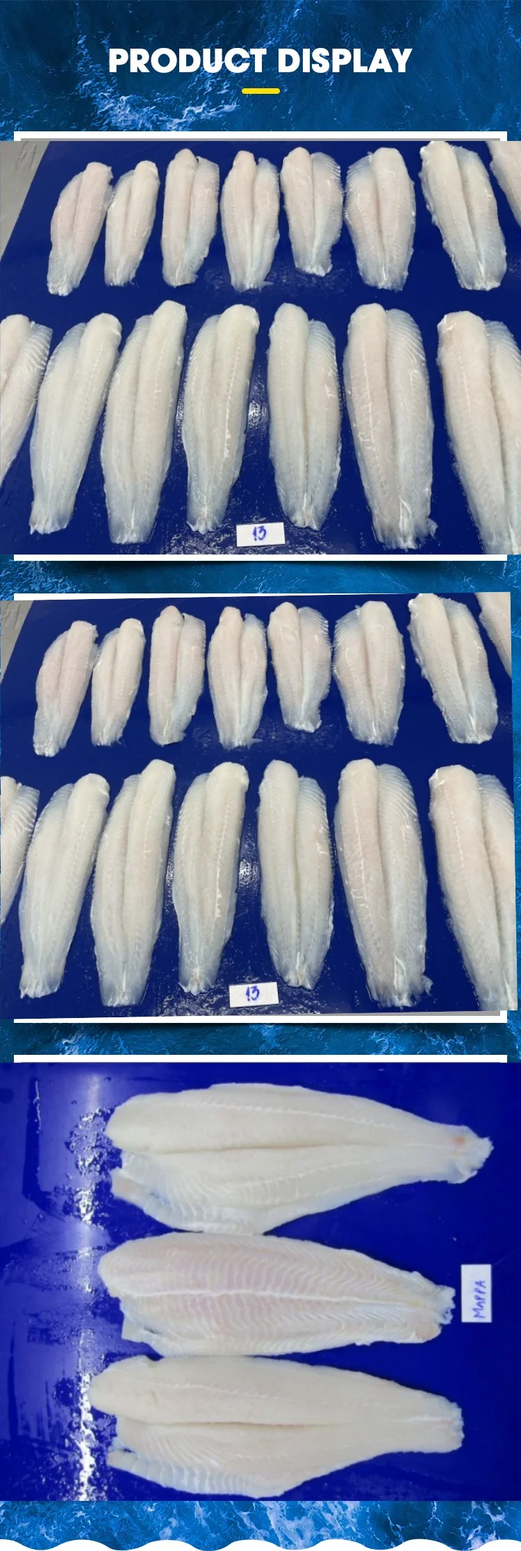 Vietnam Pangasius Basa Tra Swai Fillet Fish 10kg Bulk Pack IQF Style ...