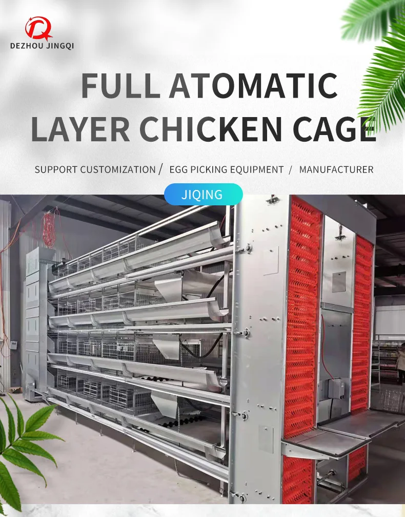 Automatic Chicken Cages for Layer Poultry Farms - H Type
