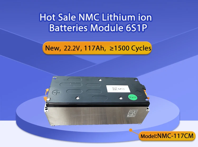 CATL 22.2V 117ah Battery Module - Reliable Electric Car Power