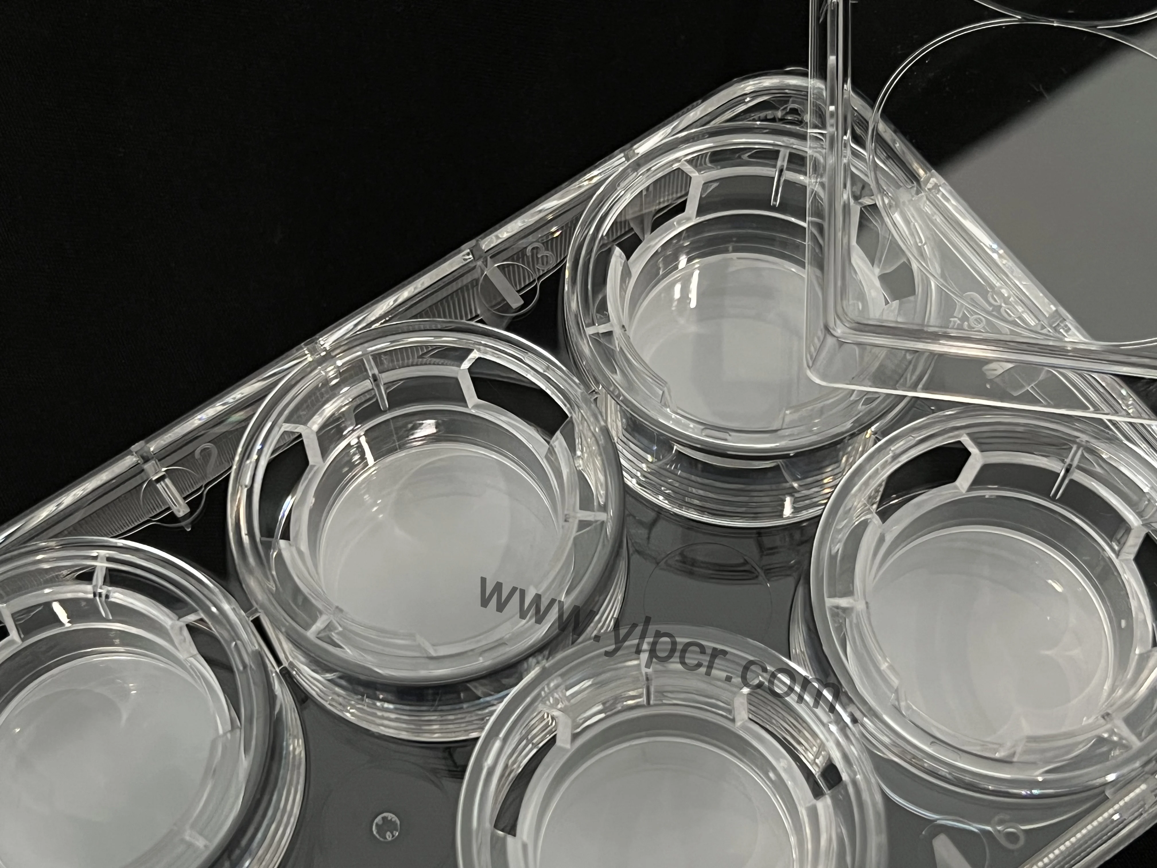 Permeable Cell Culture Inserts,Cell Culture Plate,0.4um Pet Film - Buy ...