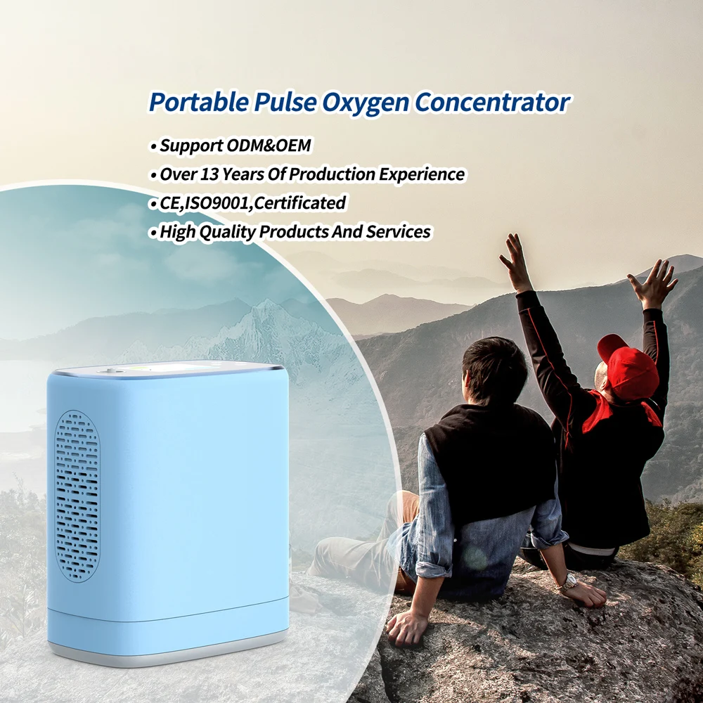 3l Mini Oxygen Inhalation Machine Battery Operated Oxygen Concentrator ...