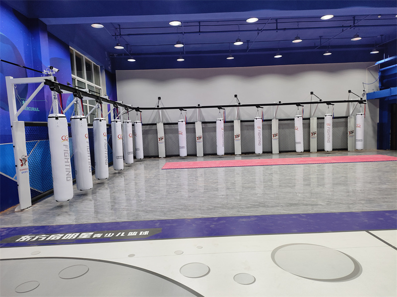 Boxing Bag Racks - Customized Mounting Systems for Training