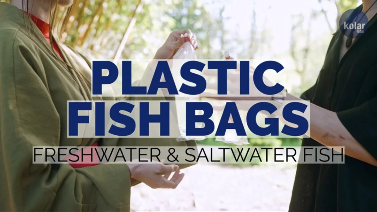 Ldpe Fish Transport Polythene Bags Transparent Custom Shopping Heat ...