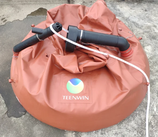 Family Home Size Biogas Plant Digester System - TEENWIN