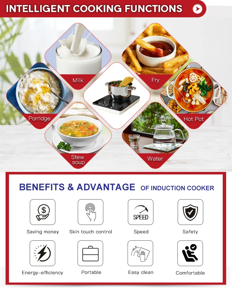 Solar Induction Cooker - Efficient Cooking Solutions