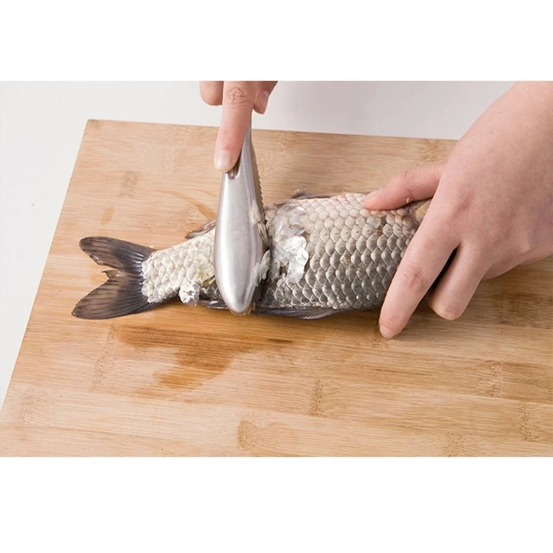 Stainless Steel Fish Scale Scraper,Fish Scale Remover For Fast And Easy Fish Scale Removing ...