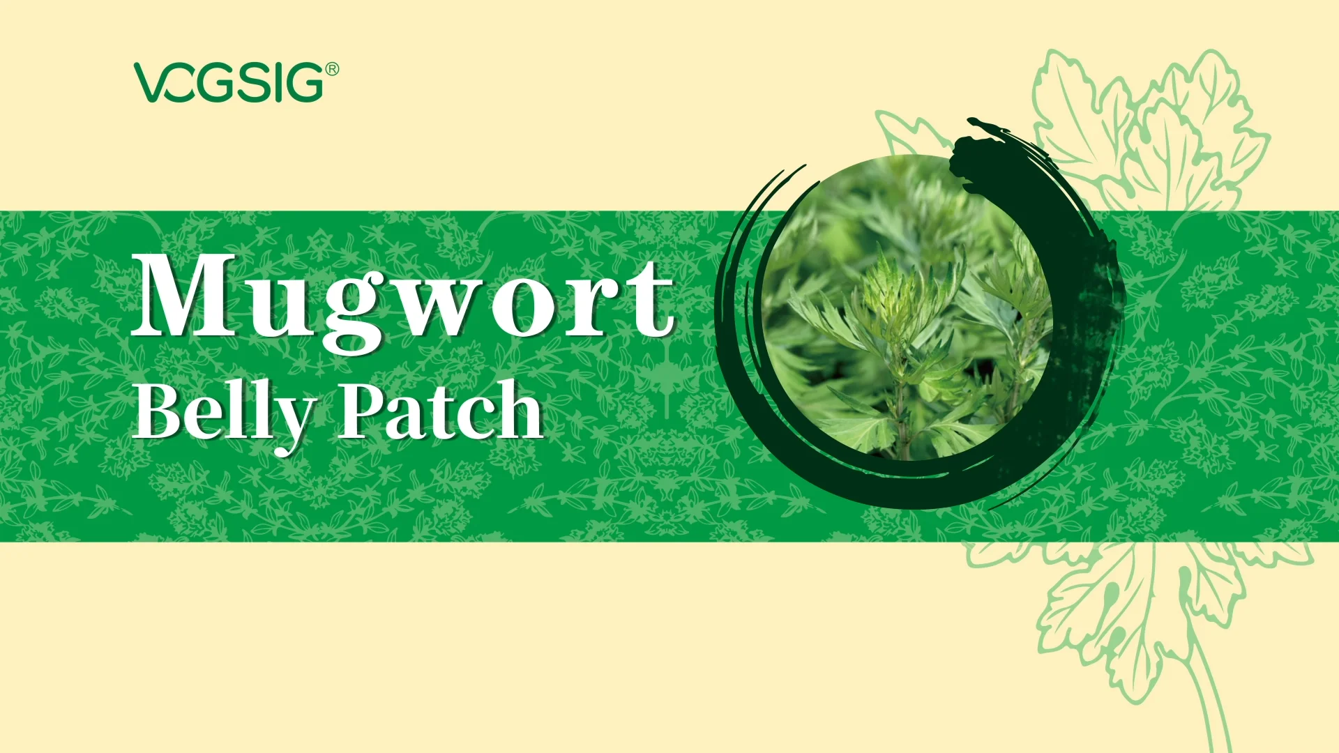 Navel Slimming Detox Patch Weight Loss Belly Fat Burning Mugwort Belly ...