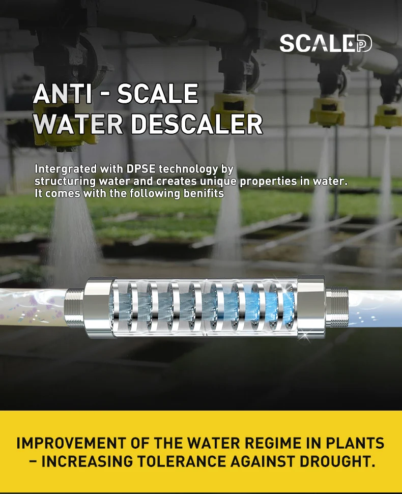 Scaledp Water Automat Filter System - Commercial Descaler