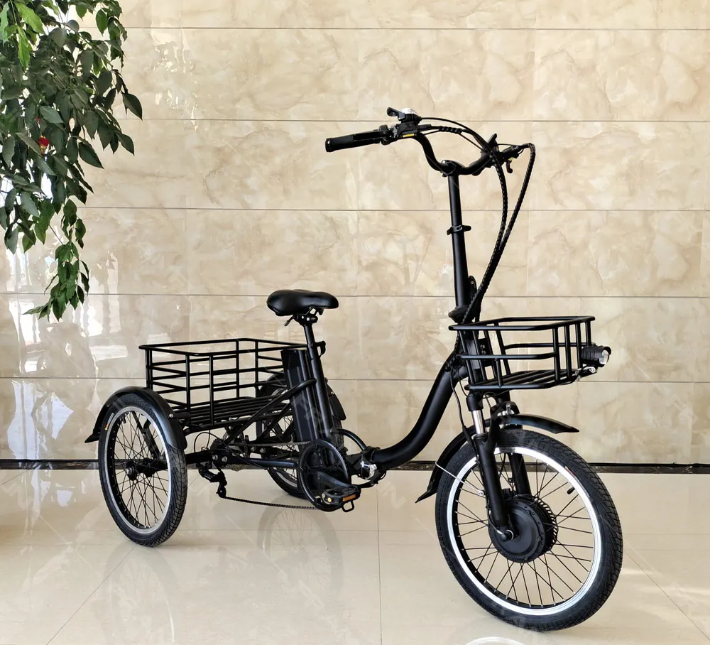 CE DOT 36V250W Motorized 3 Wheel Bicycle - Folding Cargo Tricycle