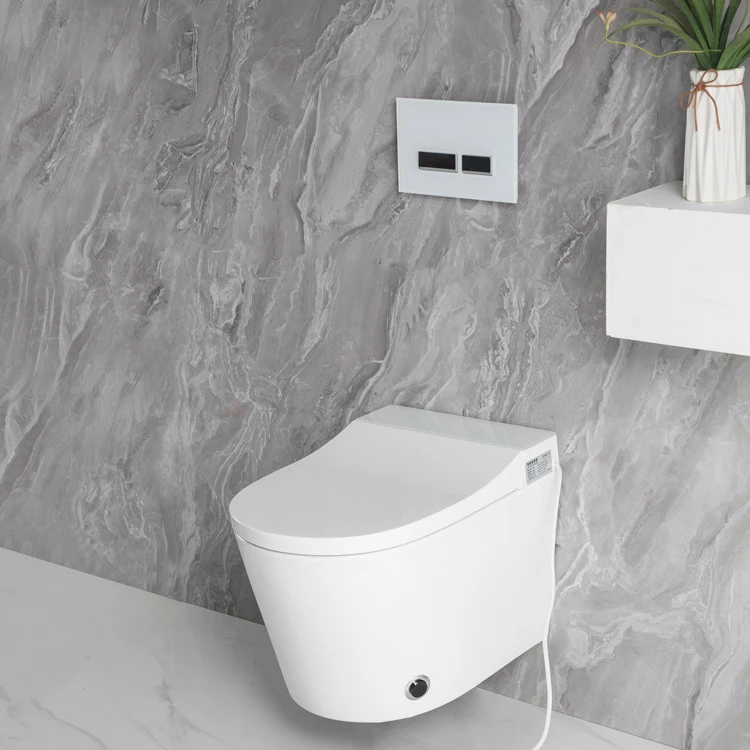 Wall Mounted Concealed Tank Smart Toilet - Luxury & Comfort
