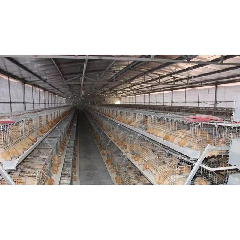 Low Cost Steel Structure Philippines Broiler Chicken Egg House Poultry ...