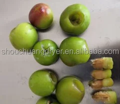 Shouchuang Automatic Fruit Core Remover - Efficient Pitting