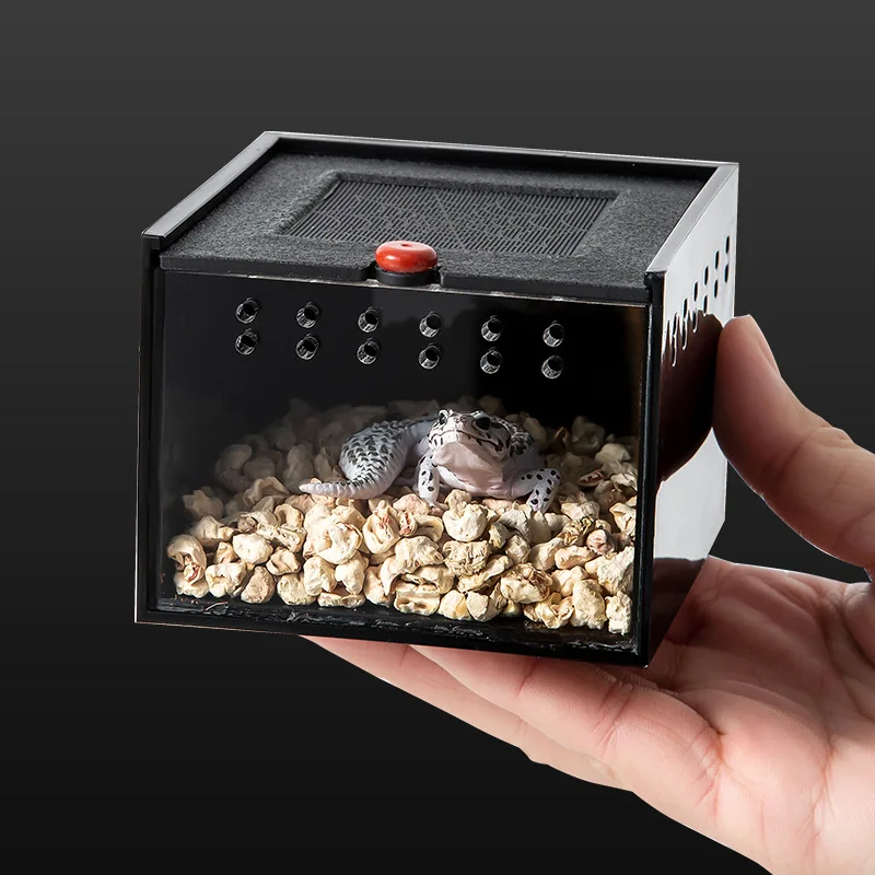 Acrylic Spider Box - Perfect Tank Insect Home for Reptiles