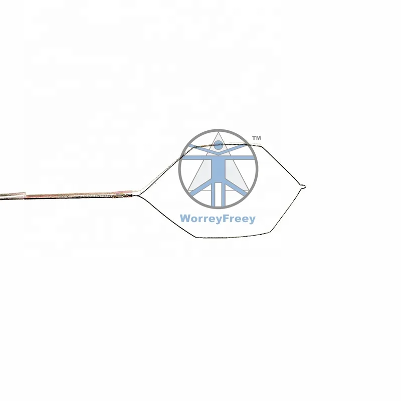 Disposable Instrument Polypectomy Snare - Endoscopic Snare