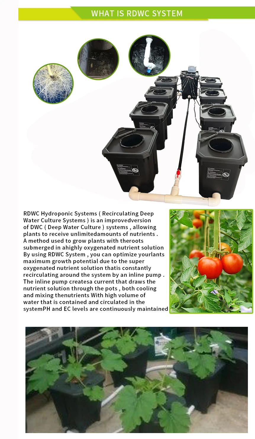 RDWC 8-Bucket Hydroponics System with Air & Cycle Pumps | Wholesale