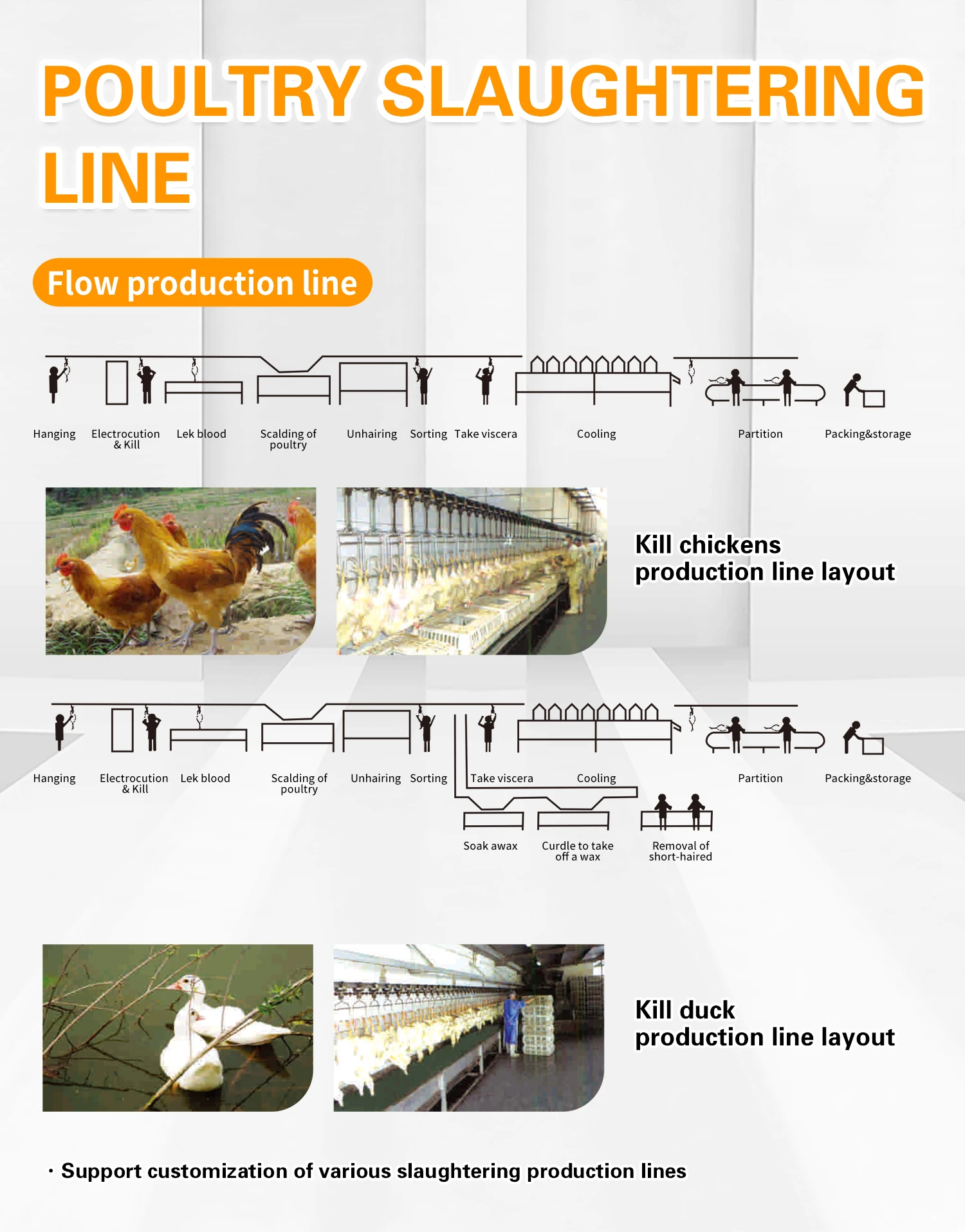 Complete Automatic Chicken Bleeding Plucking Slaughter Convey Rail ...