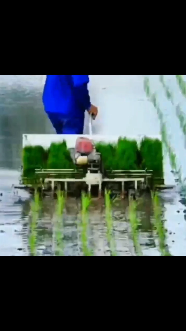 Rice Paddy Transplanter Price Rice Planter Seeder Planting Machine ...