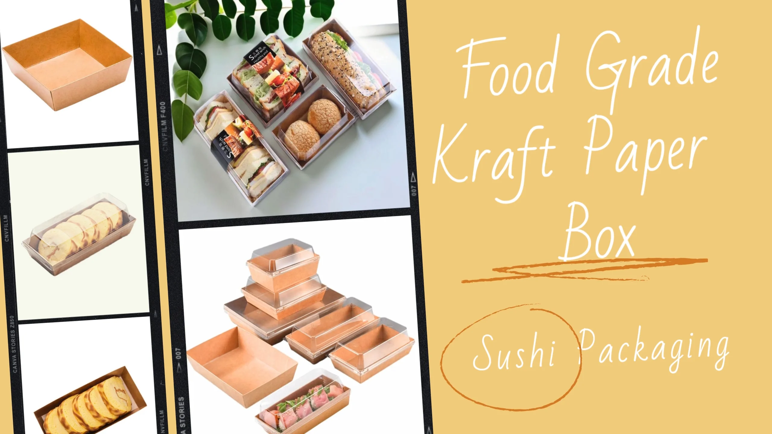 Eco Friendly Takeaway Disposable Food Container Food Grade Square Food ...