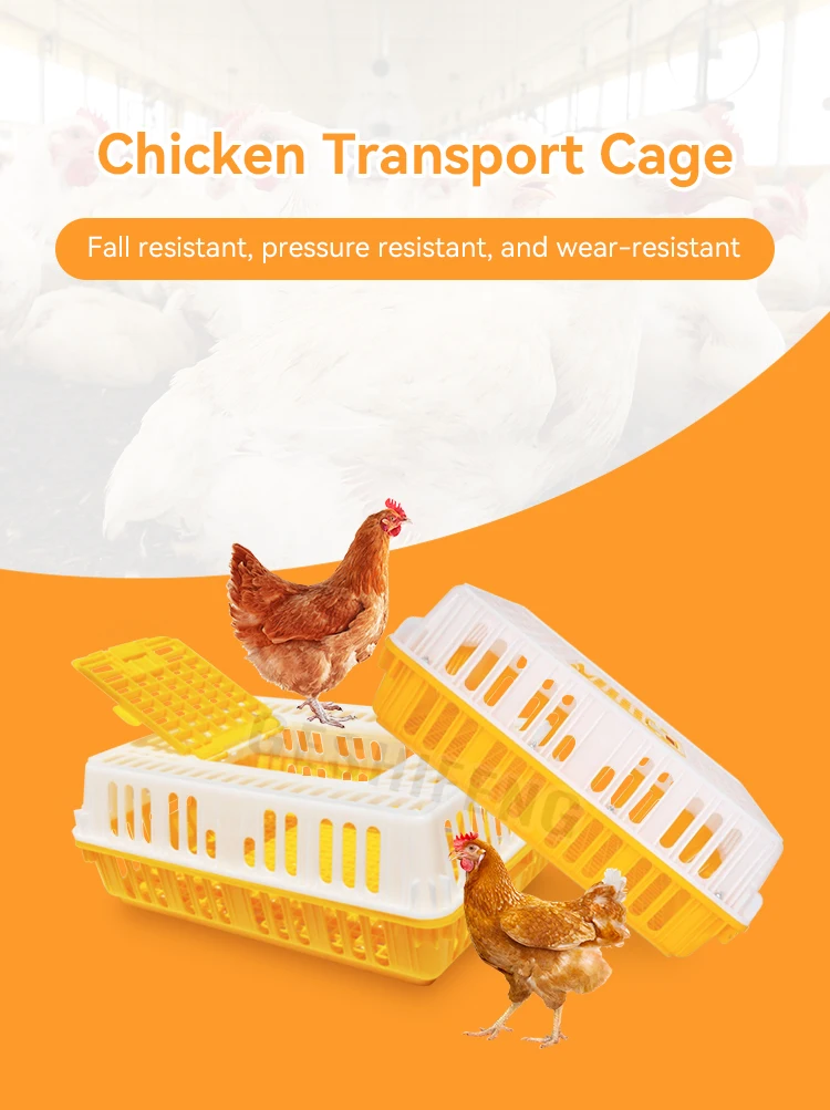 Farm PE Plastic Transport Cages Chicken Poultry Transport Chicken ...