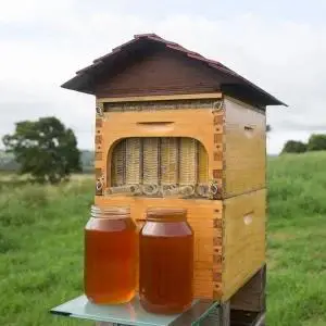 Automatic Self-Flowing Honey - 7 Bee Hive Frames Set