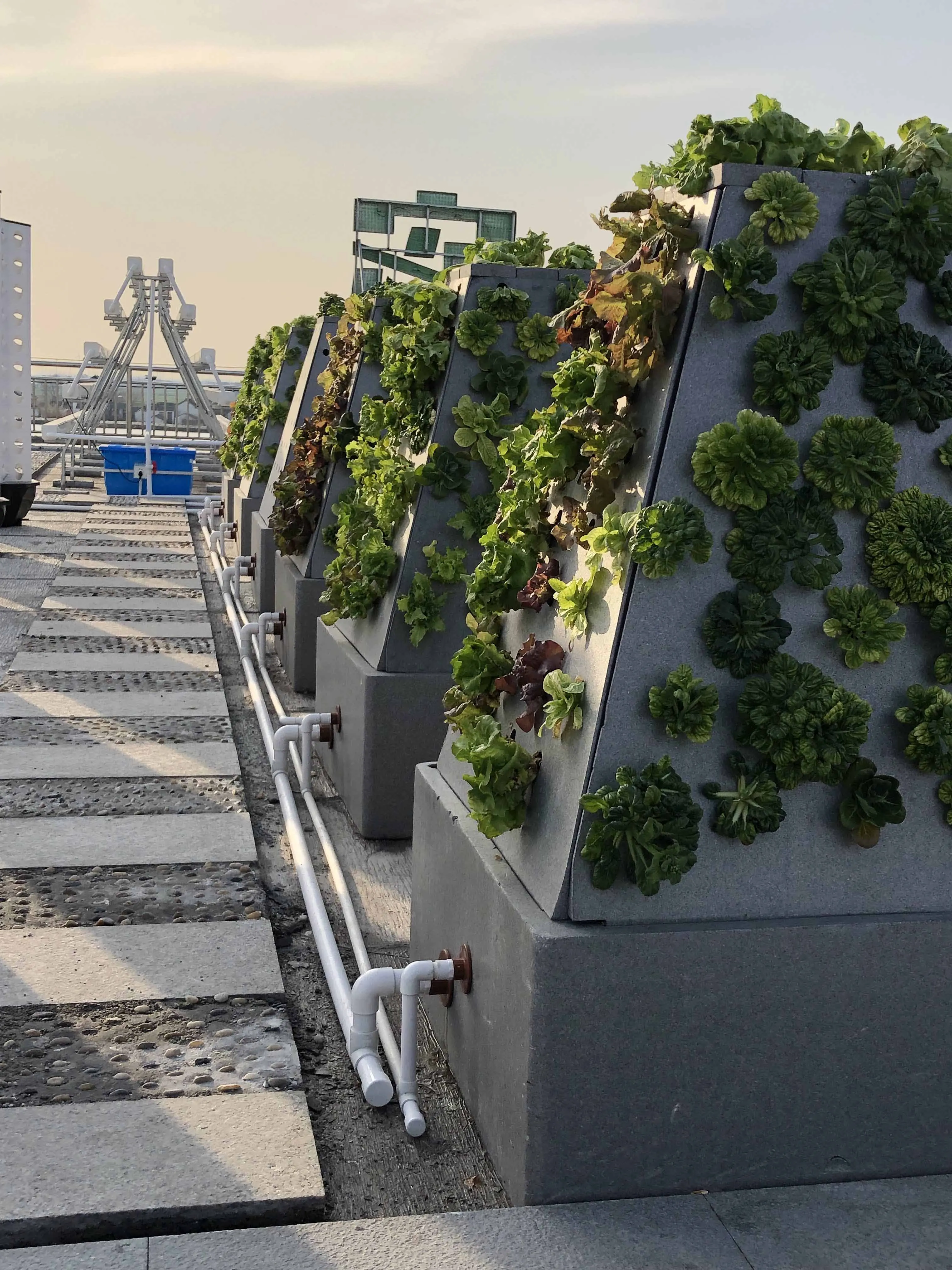 Skyplant Aeroponic Tower Vertical Hydroponic Tower Garden Tower ...